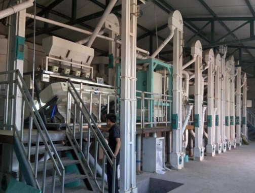 Millet Processing Machines_Grain Processing Equipment
