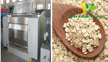 Oat Roller Machine - Grain Processing Equipment